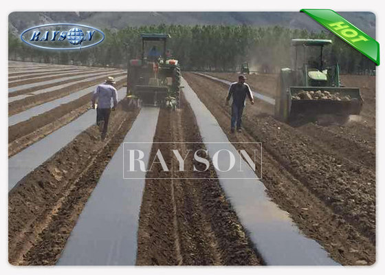 Wide Width Join Garden Weed Control Fabric In PP Non Woven Material