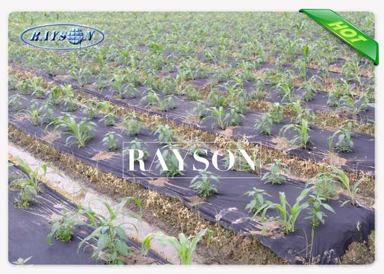 Wide - Width Garden Weed Control Fabric In PP Non Woven Fabric With UV Resistance