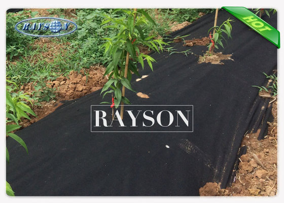 Erosion Control Agriculture TNT Black Landcape Barrier 1m × 50m Weed Block Matting