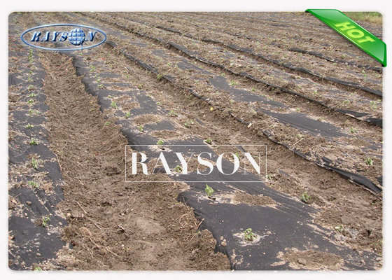 20M Width White Weed Control Fabric With UV - Resistance For Farm Use