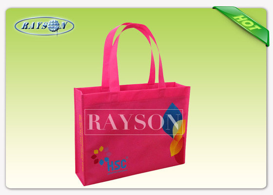 Colorful Printing Non Woven Shopping Bag , Non Woven Polypropylene Bags