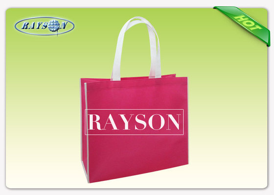 Heat Seal PP Non Woven Bags In Full Color Range With Popular Design