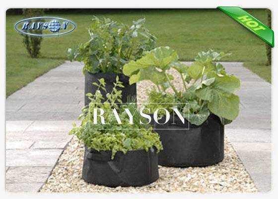 Heat Seal Black Non Woven Cultivating  Bag In PPNW For Grow Seedlings Planting Bags