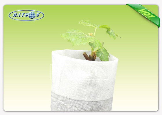 Seedling Bag To Cultivate Seedlings Non Woven Agriculture Fabric 20GSM Weight