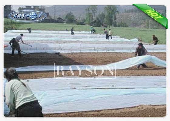 Light Weight Breathable Spunbond Frost Protection Fleece with UV Stabilized for Crop Cover