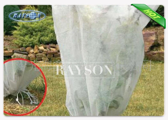 Light Weight Breathable Spunbond Frost Protection Fleece with UV Stabilized for Crop Cover