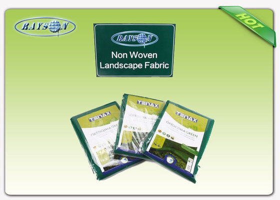 SGS Test Approved 100% Virgin Material Freeze -Prof PP Nonwoven Cloth For Plants Cover
