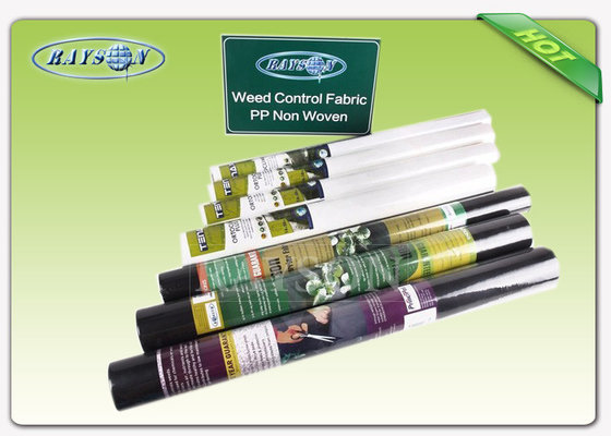 Sunshine Breathable Biodegradable 17g to 70g Garden Weed Mat Used For Non Woven Crop Cover
