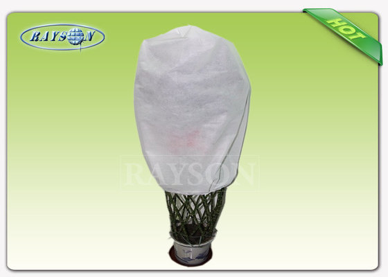 PP Spunbond Non Woven Fabric for Farm Cover , Plant Bag Material Nonwoven Fabric