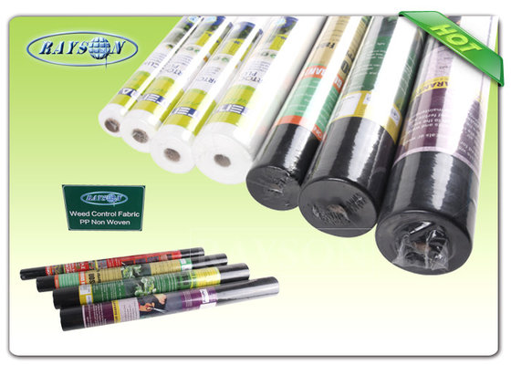 Small Roll Light Weight Garden Weed Control Fabric / Non Woven Mulch For Covering Crops