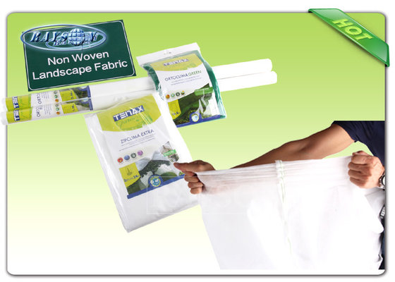 Anti UV High Density Agriculture Spunbond Garden Weed Control Fabric Nonwoven Landscape Geotextile Fabric
