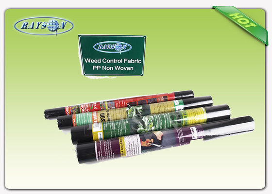 PP Black Color 70g -130g Weed Control Cloth Fabric With UV Resistance In Roll Package