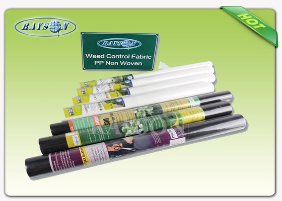 PP Black Color 70g -130g Weed Control Cloth Fabric With UV Resistance In Roll Package