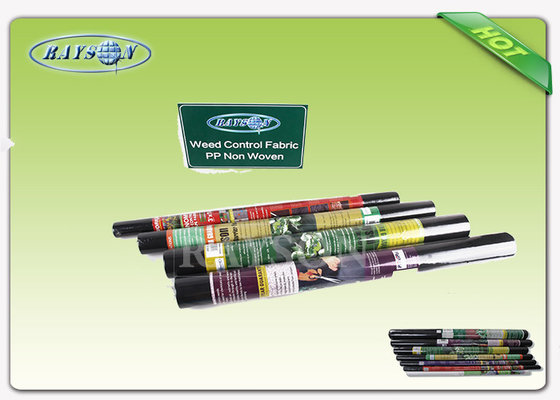 PP Black Color 70g -130g Weed Control Cloth Fabric With UV Resistance In Roll Package