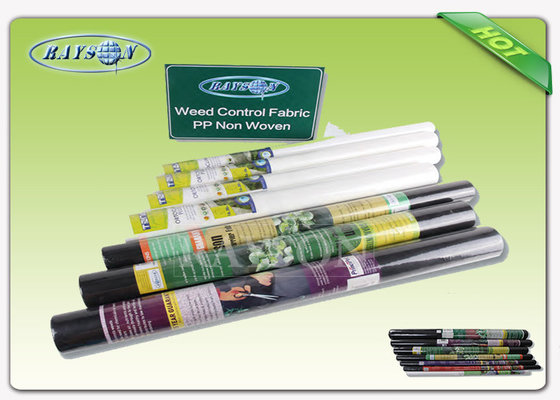 PP Black Color 70g -130g Weed Control Cloth Fabric With UV Resistance In Roll Package