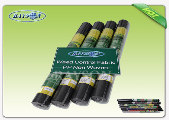 Easy Cut Install 100% Virgin 17g to 60g PP Ground Cover With UV Defending Treatment Used For Weed Surpress