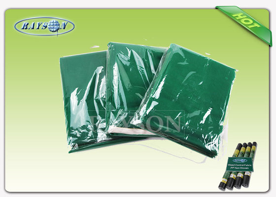 Sunshine 3% UV White and Black Color Spunbond Ground Cover Fabric Using In Vegetable And Fruit Farm