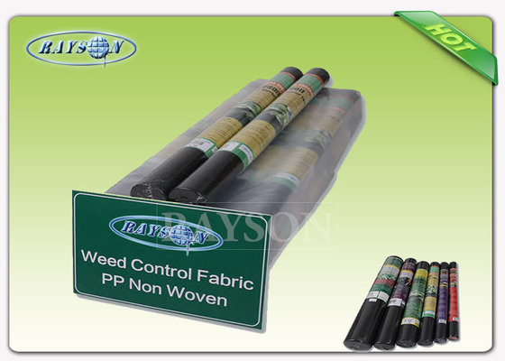 SGS Test Approved 100% Virgin Material Freeze -Prof PP Nonwoven Cloth For Plants Cover