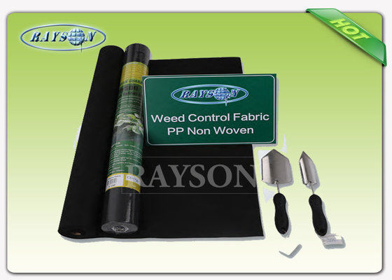 Easy Cut Install 100% Virgin 17g to 60g PP Ground Cover With UV Defending Treatment Used For Weed Surpress