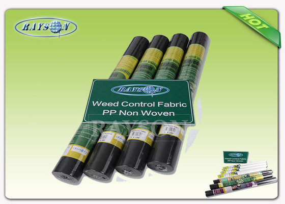 Easy Cut Install 100% Virgin 17g to 60g PP Ground Cover With UV Defending Treatment Used For Weed Surpress