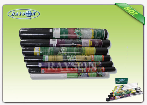Oeko-Tex Test Approved Small Rolls 70g Black Color Garden Fleece Populared In Europe Market