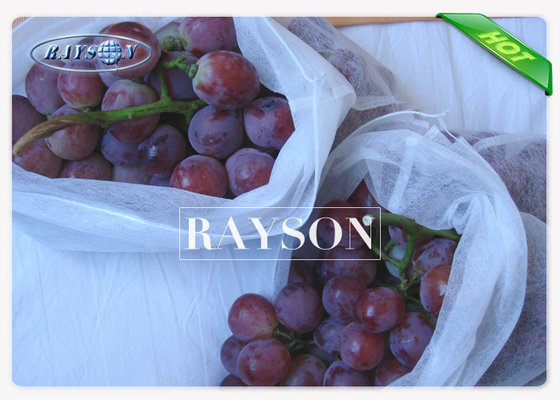 Wegwerf-weiße Schutz-Taschen-Heißsiegelfähigkeit oder Nähen der Frucht-60gsm