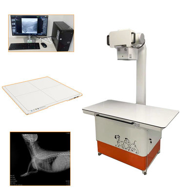 China Animal hospital digital radiography DR xray Imaging of Animals Veterinary X-ray machine for animals supplier