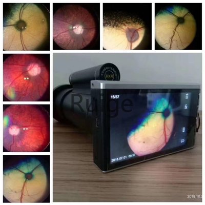 Veterinary Ophthalmic Equipment Fundus Camera supplier
