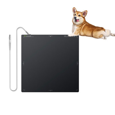 17×17-inch tethered Flat Panel Detector supplier