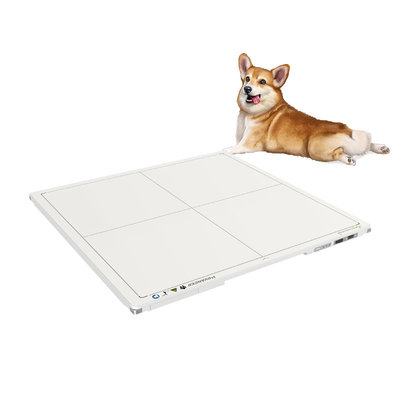 Factory Price Portable Vet Animal Wireless Radiation DR Digital Radiography Vet x-ray Flat panel detector dr panel supplier