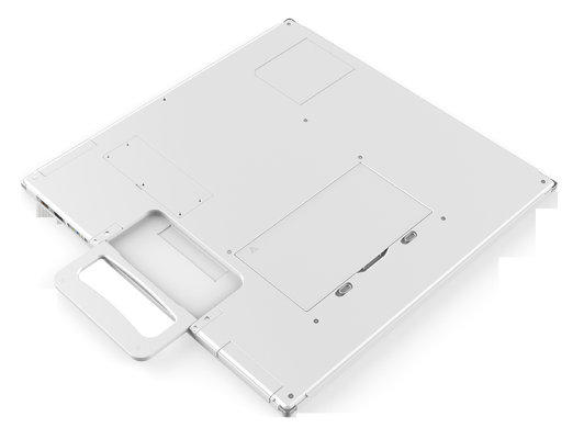 Factory Price Portable Vet Animal Wireless Radiation DR Digital Radiography Vet x-ray Flat panel detector dr panel supplier