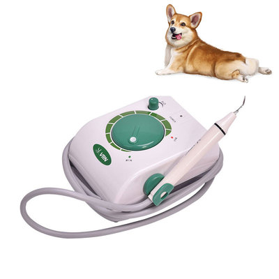 Dental ultrasonic scaler Teeth Scaling Machine supplier