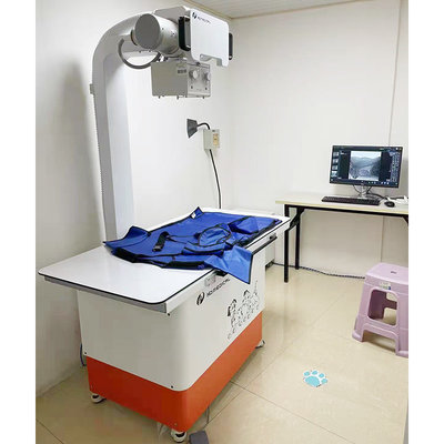 Animal hospital digital radiography DR xray Imaging of Animals Veterinary X-ray machine for animals supplier