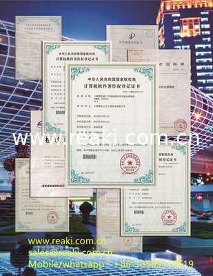 RJ-101 tower crane anti-collision & zone protection system   shanghai reaki tower crane zone protection system