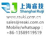 RJ-10 luffing crane anti collision & zone protection system