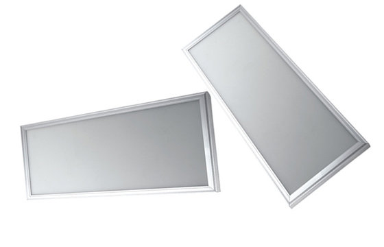 Natural White 300X1200 36W LED Flat Panel Lighting Fixture For Building Walls / Hotel