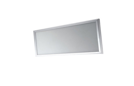 Natural White 300X1200 36W LED Flat Panel Lighting Fixture For Building Walls / Hotel
