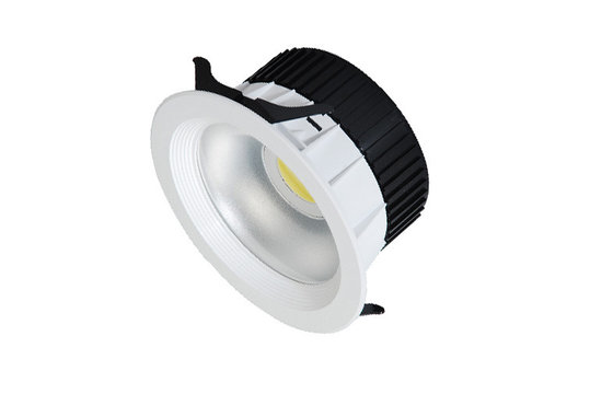 Indoor 25 W RA75 110V / 220V Dimmable LED Downlights With Epistar / Bridgelux Chips