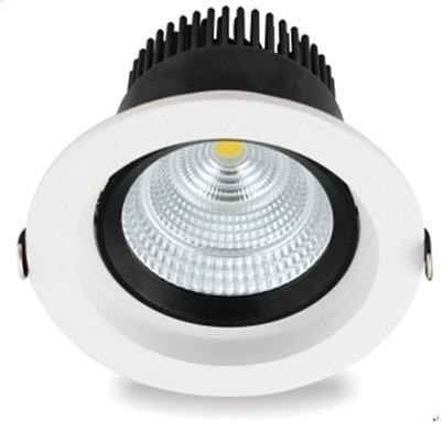 Round COB Led Ceiling Light