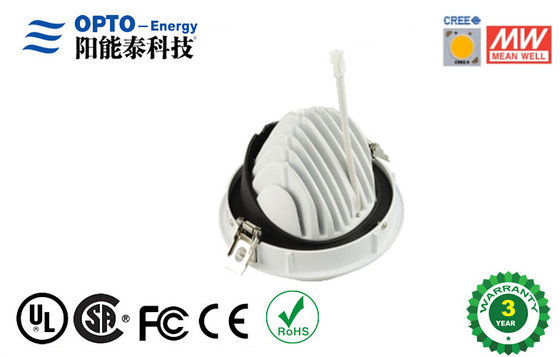 Cree COB 25W Dimmable Led Ceiling Light 2700K-3000K with aluminum alloy shell CE & Rohs