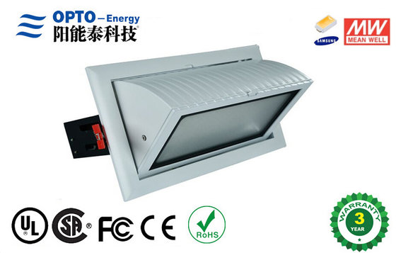 Energy saving CRI 80Ra Led SMD Ceiling Light with MeanWell Led Driver
