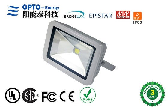80 Watt Led Flood Lights Outdoor High Power With MeanWell Led Driver