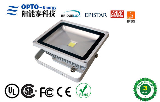 80 Watt Led Flood Lights Outdoor High Power With MeanWell Led Driver