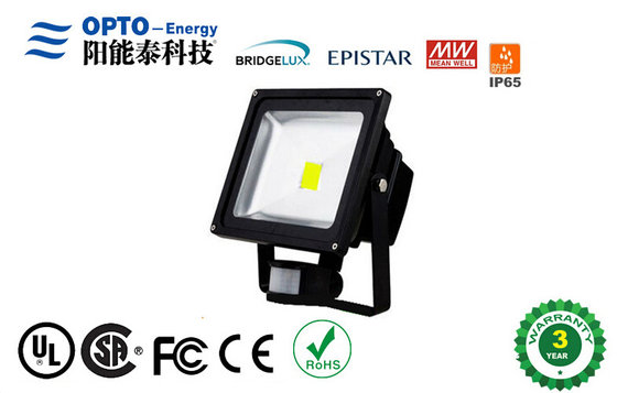 30W IP67 Waterproof Outdoor Led Flood Lights Fixture Sensor PIR / RGB / Remote Controller