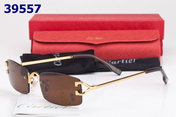 Cartier Filament Glasses Frames,Replica Cartier Glasses Frames,Knock Off Eyeglasses Frames,Glasses Frames from China