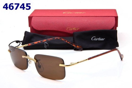 Cartier Filament Glasses Frames,Replica Cartier Glasses Frames,Knock Off Eyeglasses Frames,Glasses Frames from China