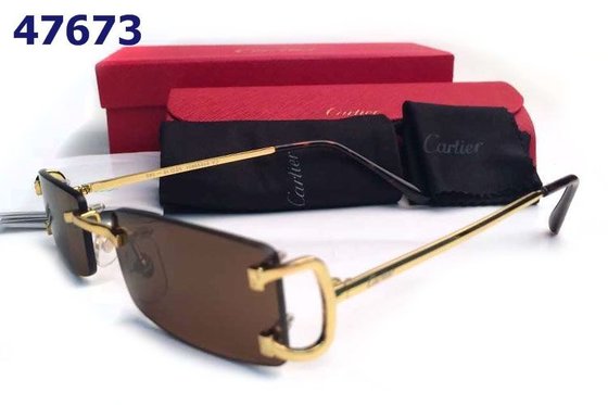 Cartier Filament Glasses Frames,Replica Cartier Glasses Frames,Knock Off Eyeglasses Frames,Glasses Frames from China