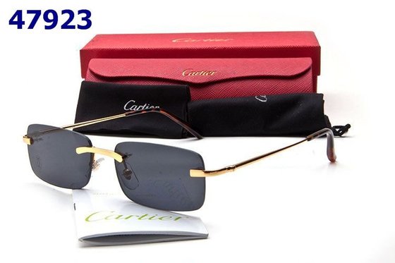 Cartier Filament Glasses Frames,Replica Cartier Glasses Frames,Knock Off Eyeglasses Frames,Glasses Frames from China