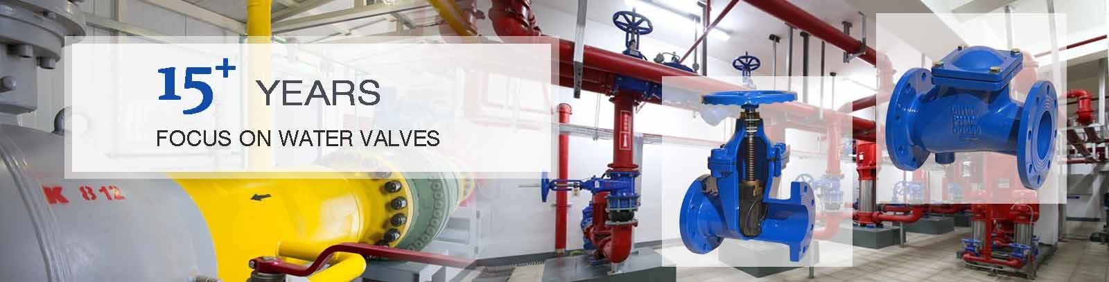 quality Resilient Seated Gate Valve factory