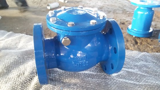 DN50 Ductile Iron Flanged Check Valve Swing Type Brass Seat DIN Standard